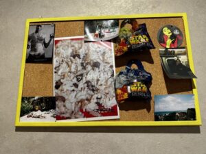 KaRuu・カルー(@松山/洋食）スパイスにこだわった多国籍料理が味わえる！松山に珍しい異国情緒漂うお店が誕生！ | 海賊つうしん。